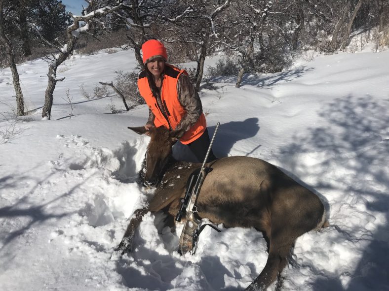 Colorado Trophy Elk Hunts Unit 61