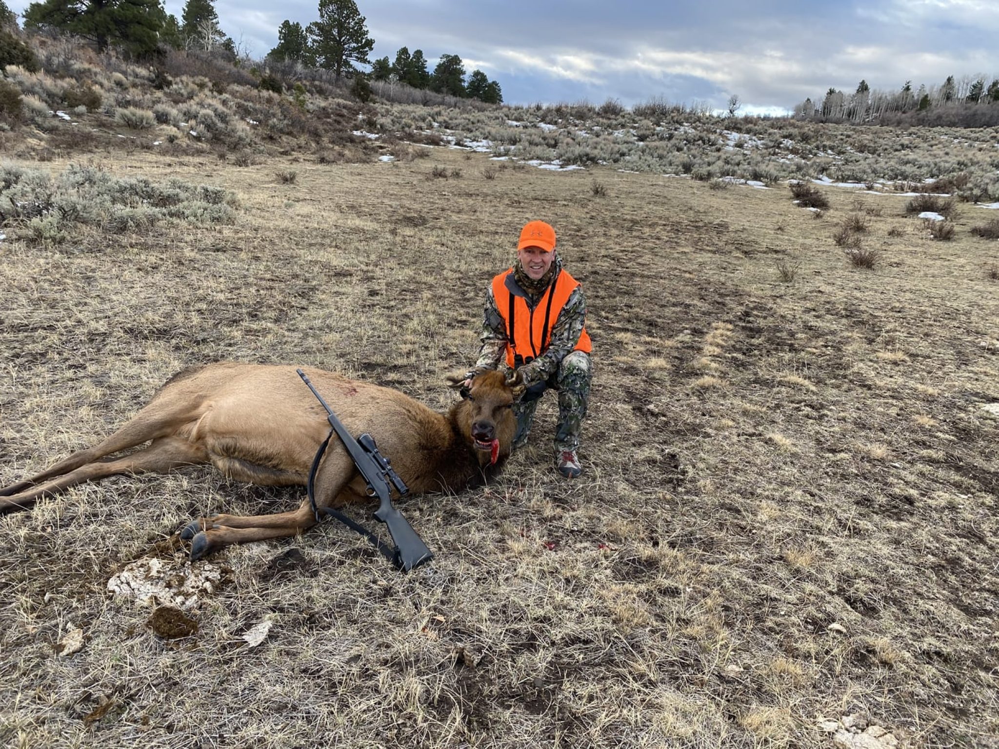 Colorado Trophy Elk Hunts Unit 61