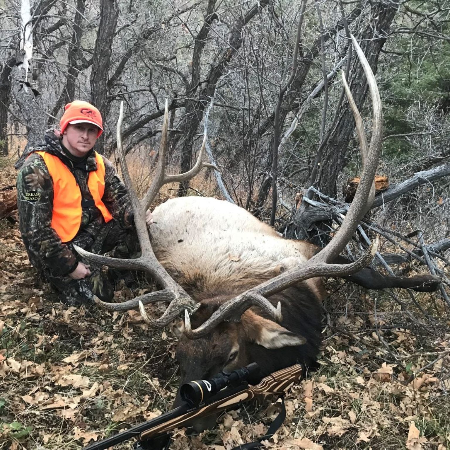 Colorado Trophy Elk Hunts Unit 61