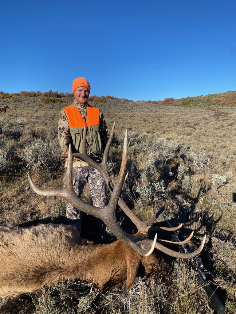 Colorado Trophy Elk Hunts Unit 61