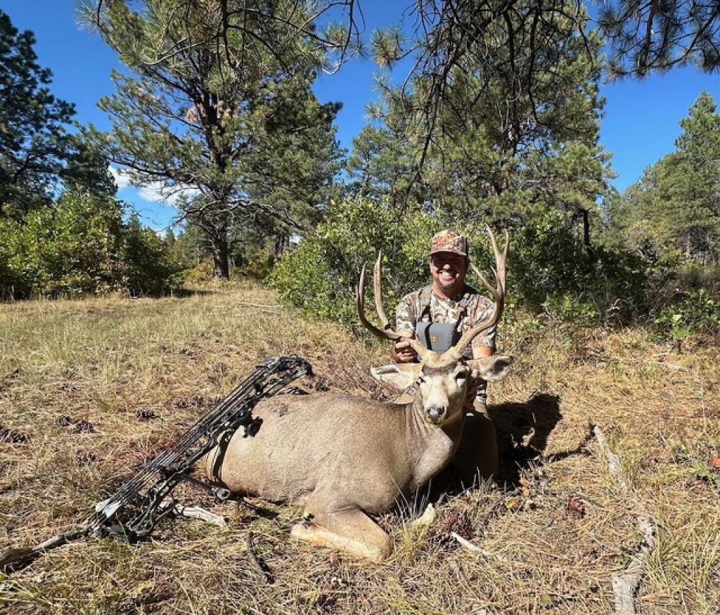 Colorado Trophy Elk Hunts Unit 61
