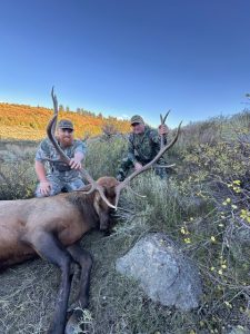 Colorado Trophy Elk Hunts Unit 61