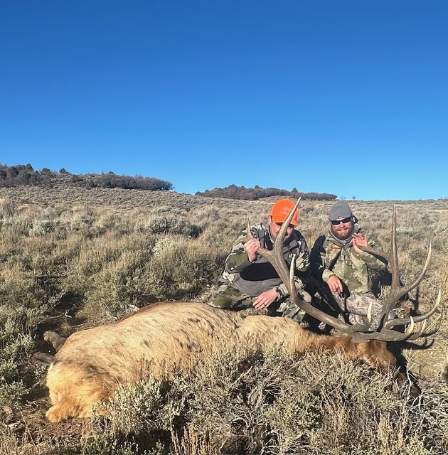 Colorado Trophy Elk Hunts Unit 61