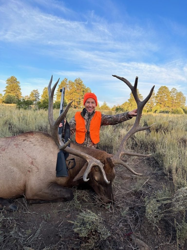 Colorado Trophy Elk Hunts Unit 61