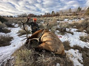 Colorado Trophy Elk Hunts Unit 61
