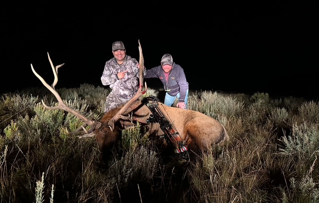 Colorado Trophy Elk Hunts Unit 61